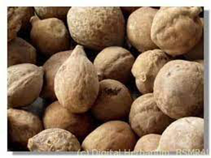 Whole Bohera (Asto Bohera) - 100 Gram | Daraz.com.bd