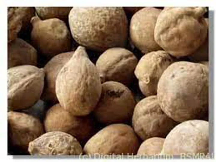 Whole Bohera (Asto Bohera) - 100 gram | Daraz.com.bd