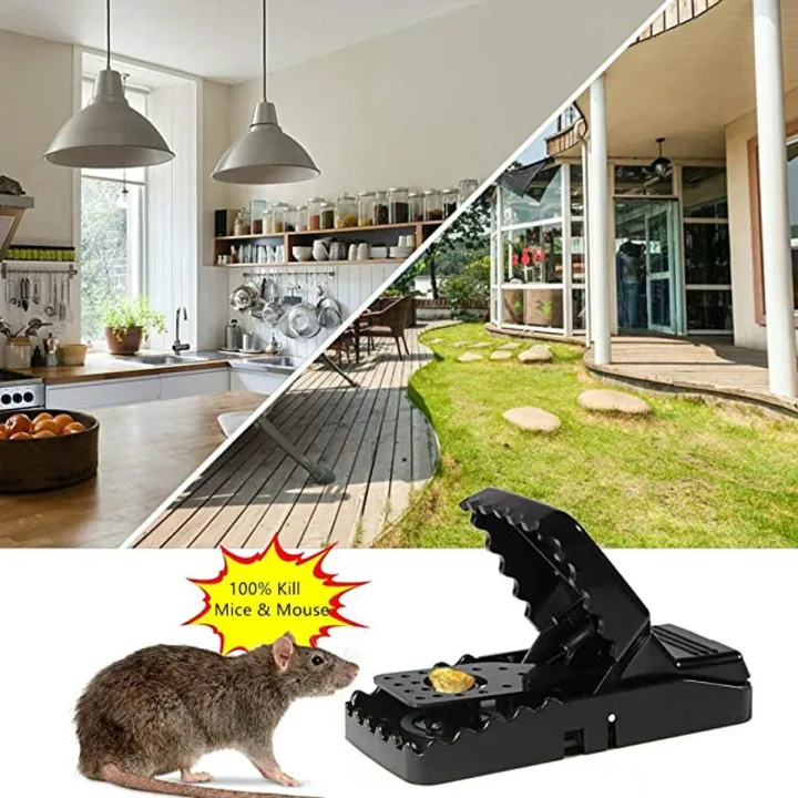 Dsz Discount shop edur marar fad/Mouse Trap Mouse Traps Indoor Mouse ...