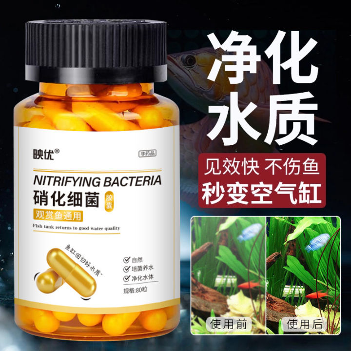Capsule Nitrified Bacteria Fish Tank Water Quality Purification ...