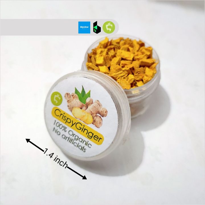 ChewingGinger/Dry salted Spicy crispy Ginger Ready to Eat(5 pots ...