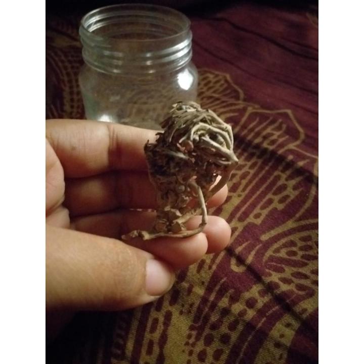 Flower of Maryam Booti Nabi Booti 1 pis [ very small ] | Daraz.com.bd