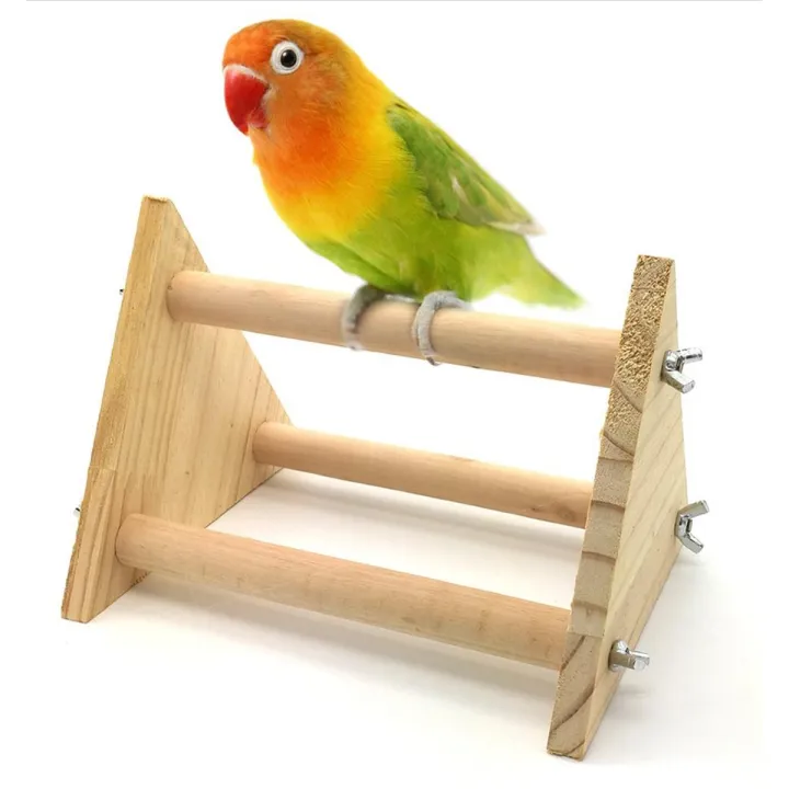 bird stand 3 dimansion stand perch bird accessories | Daraz.com.bd