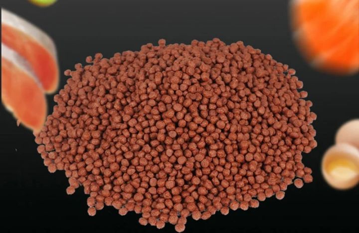 Blood Parrot Fish Food Red Parrot Medium Granules to Enhance Color and ...