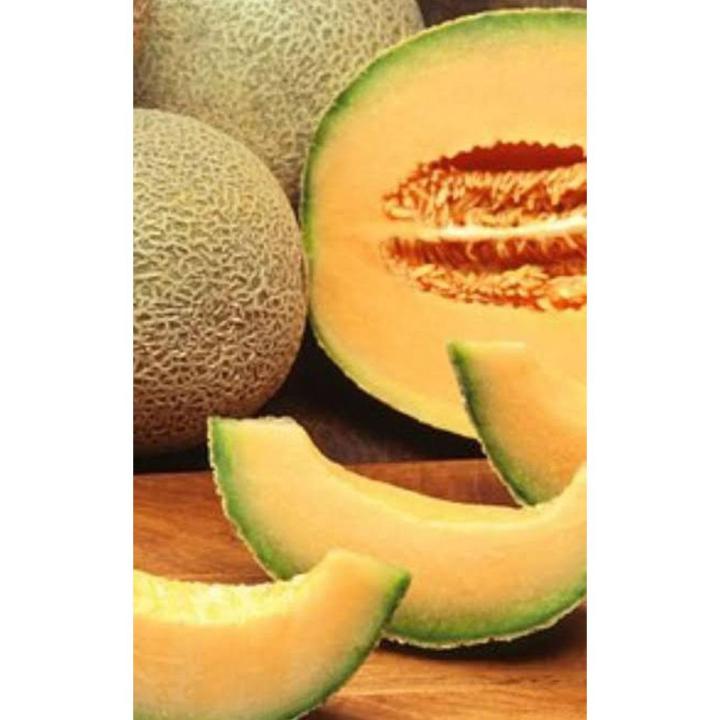 All season Rokmelon 10 seeds. (Repack & Gift- 3 items) | Daraz.com.bd