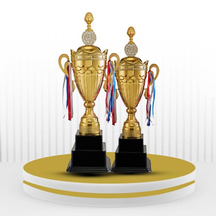 Premium Golden Metal Trophy - Ideal for Champions and Runners-Up 29.15 ...