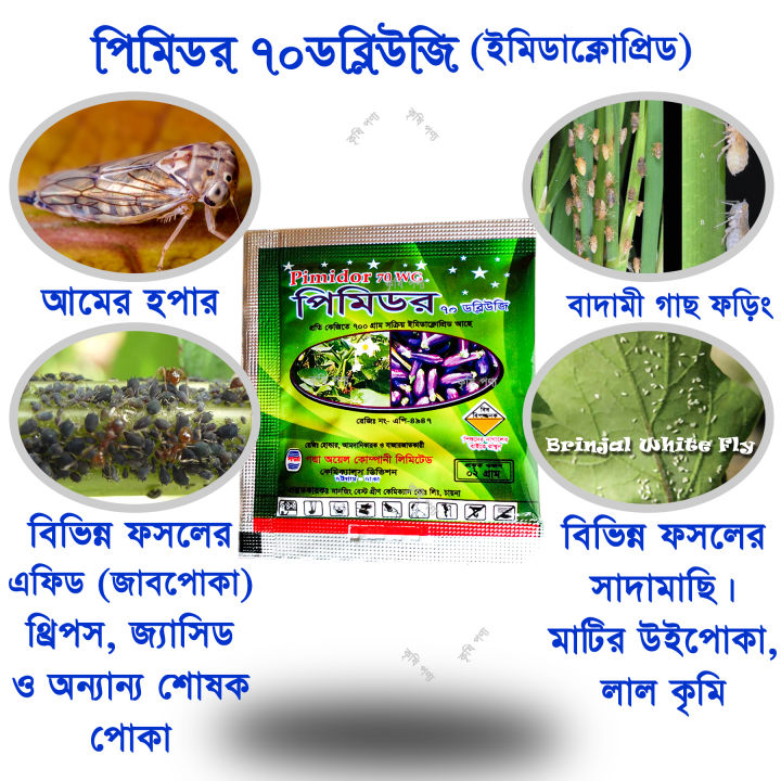 5 packet Pimidor 70WG - Imidacloprid - Insecticide - Pimidor 5x2 gram ...