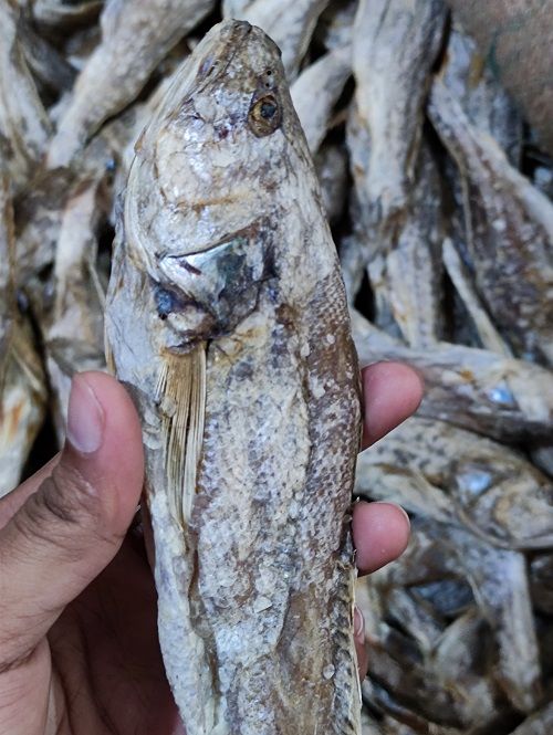 Shutki/ Premium Poha Dry Fish 1kg | Daraz.com.bd