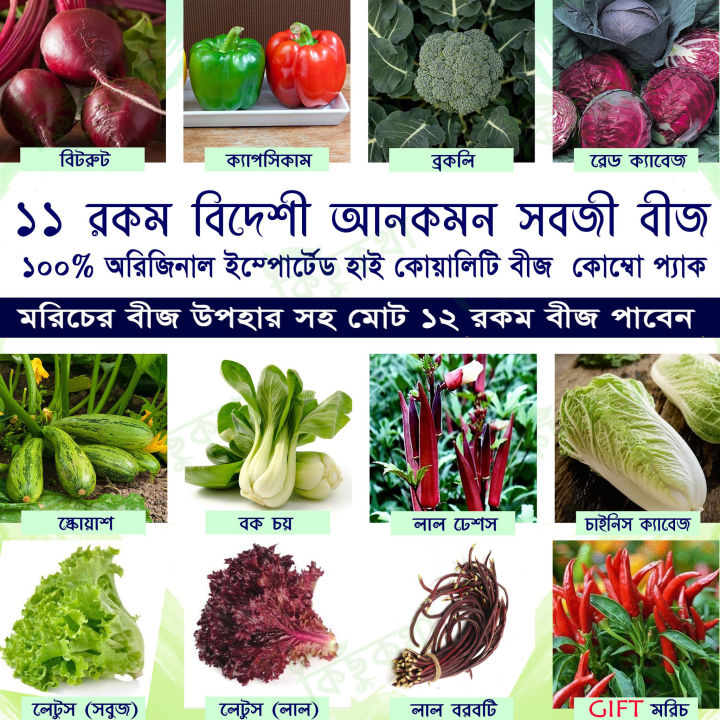 11 Type Foreign Uncommon Vegetable Seed Combo Pack | Daraz.com.bd