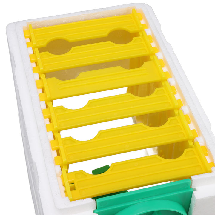 Double Layer Bee Breeding Rearing Box Foam Frame Beehive Beekeeping Hot ...