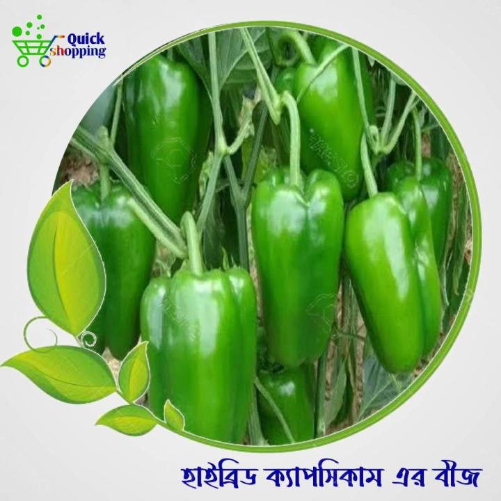 Capsicum Seeds Green Color 20 Pice Seeds | Daraz.com.bd
