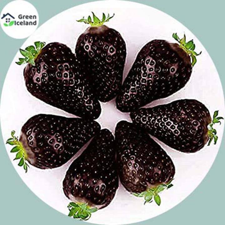 Black Strawberry Seeds - 30 Pcs Seeds | Daraz.com.bd