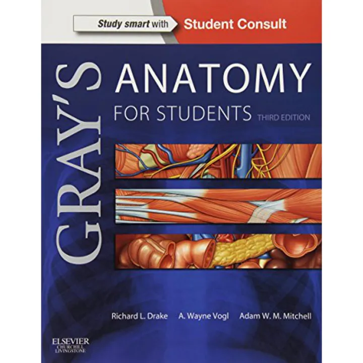 Gray's Anatomy for Students by Richard L. Drake, A. Wayne Vogl, Adam ...