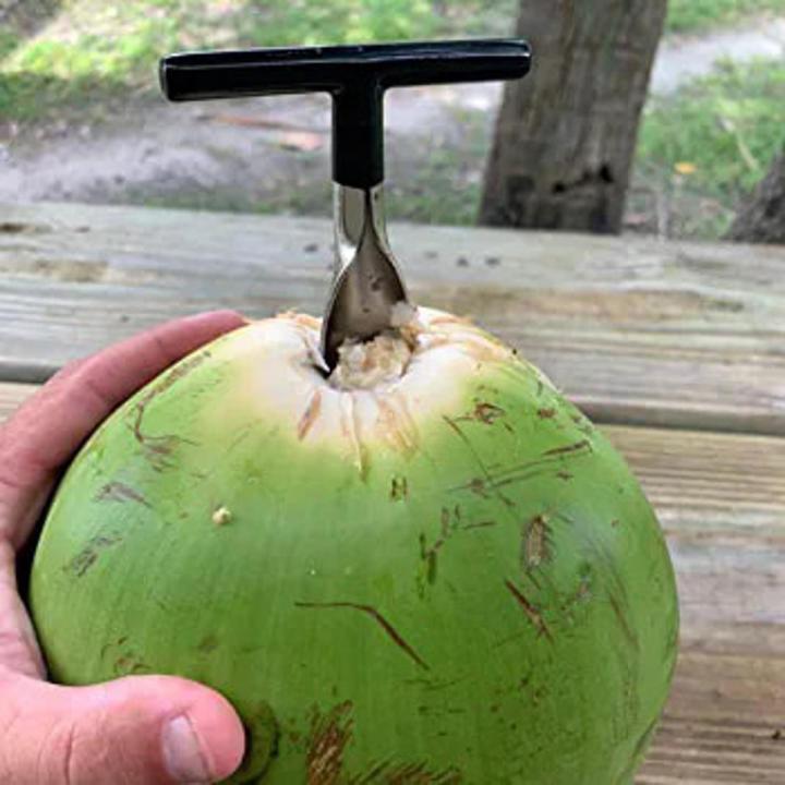 Coconut Hole Opener/Coconut Opener/Coconut Cutter/Dav Opener | Daraz.com.bd