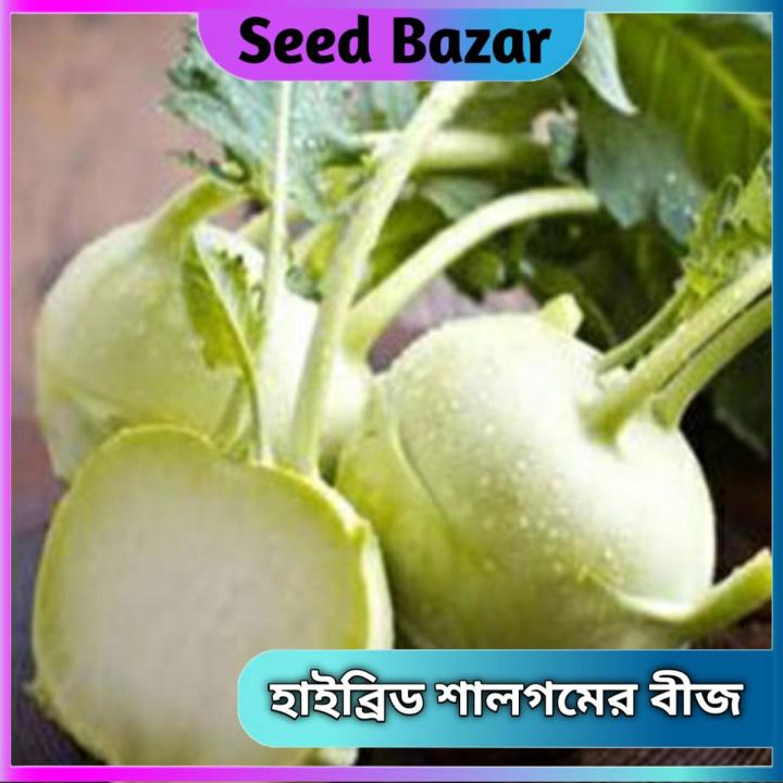 Salgom vagetable seeds 20 pice + gift | Daraz.com.bd