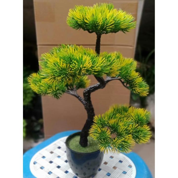 Artificial Plastic Plant Tree -Bonsai | Daraz.com.bd