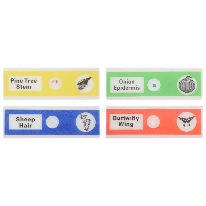 48pcs Kids Plastic Prepared Microscope Slides Of Animals Insects Plants ...