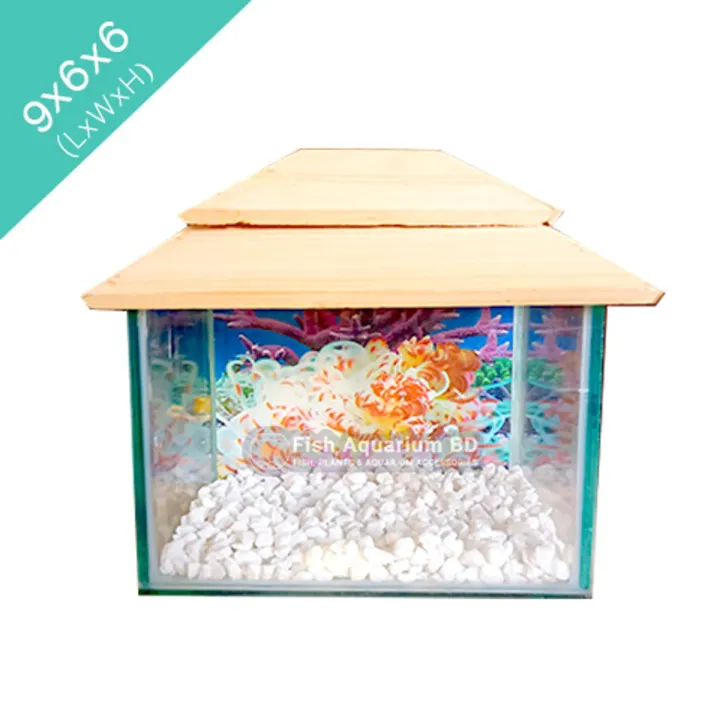 Glass Made Deshi Aquarium For Fish (Small Size 9x6x6 Inches) | Daraz.com.bd