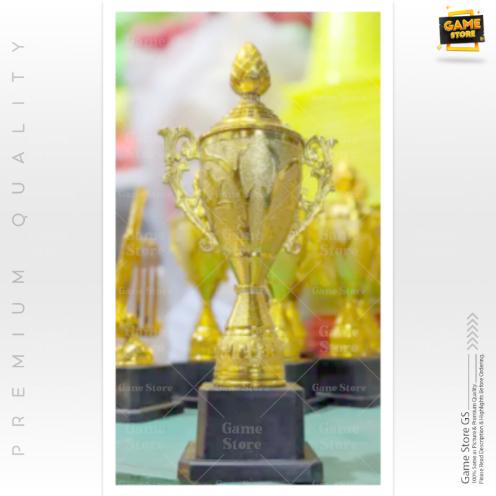 Gold Color Cricket & Football 8 Inch Mini Trophy - Cricket mini trophy ...