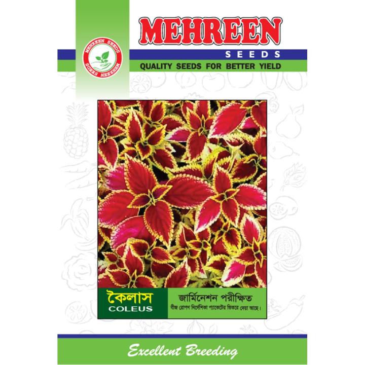 COLEUS FLOWER SEEDS, INTACT PACKET - 20 SEEDS | Daraz.com.bd