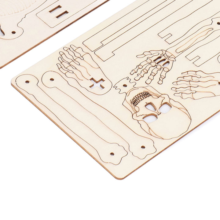 DIY Human Skeleton Toys Softening Enhance Creativity Entertainment ...