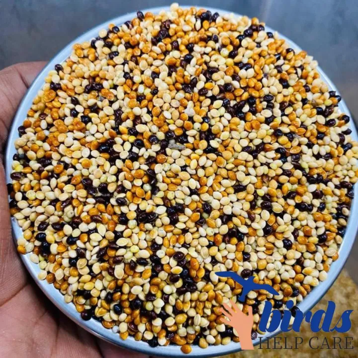 Millet Mix for Bird - 1kg | Daraz.com.bd