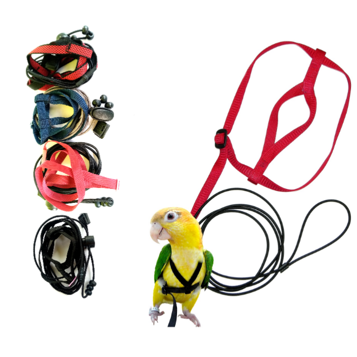 Flying Training Adjustable Parrot Birds Hernass lash pet bird ...