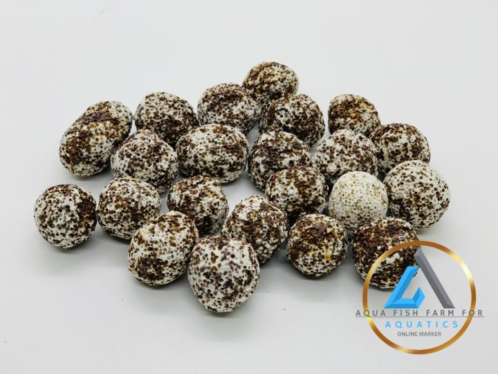 Ceramic Bio Boll(Black And White) (100gm To 1Kg Choosable) For Fish ...