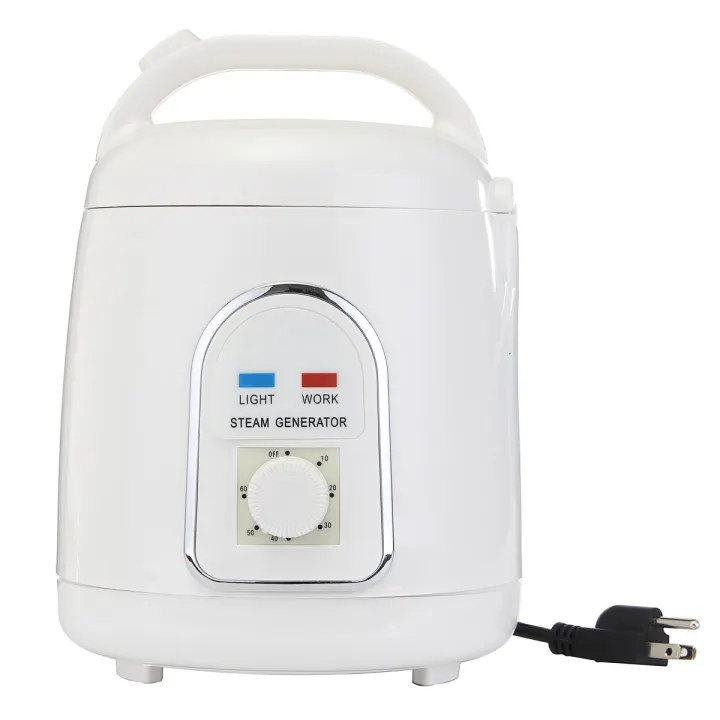 Steam Generator Steam Appliances Pot For Portable Steam Saunas 110V/220V 1.8L - 110V | Daraz.com.bd