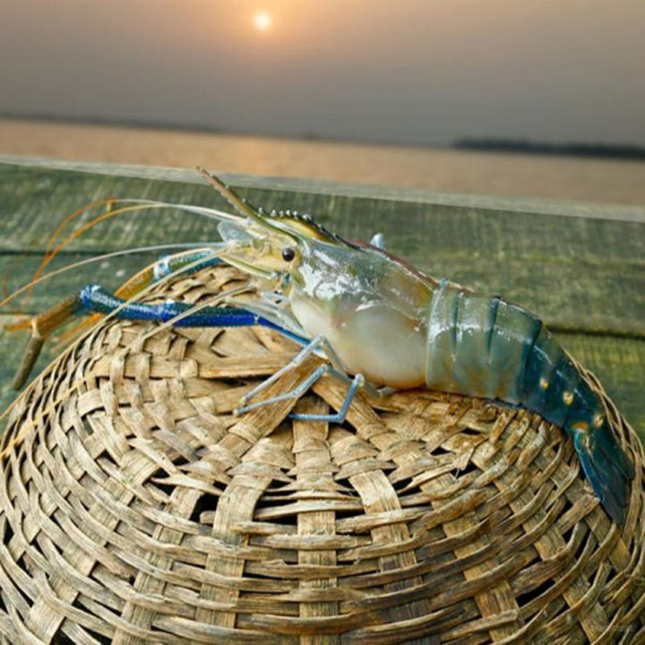 Golda Shrimp Head On Skin On Large 10- 12 pcs 1000g | Daraz.com.bd
