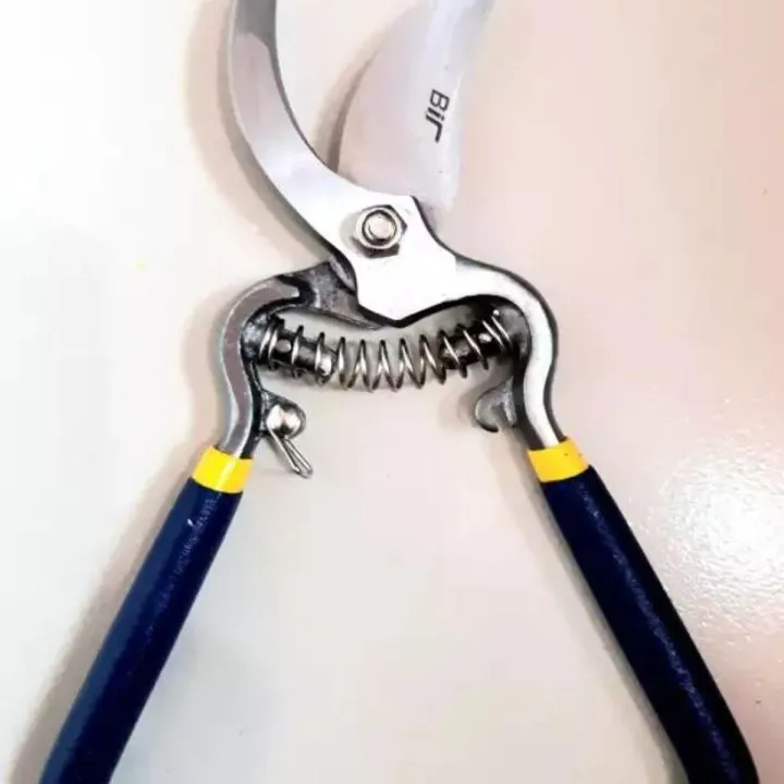 Pattern Garden Pruning Shear ( 8 inch) | Daraz.com.bd