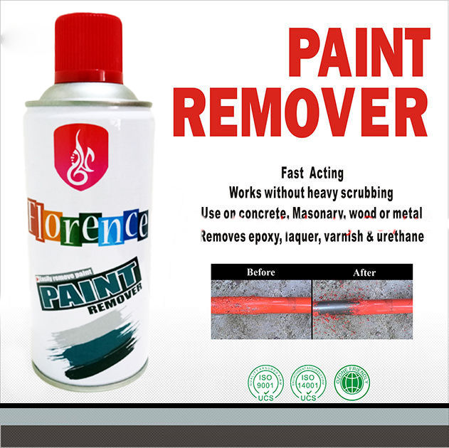 Paint Remover Aerosol Bottle | Daraz.com.bd