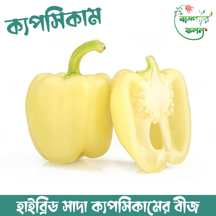 Fresh white bell pepper (capsicum) seeds - 20 pieces | Daraz.com.bd
