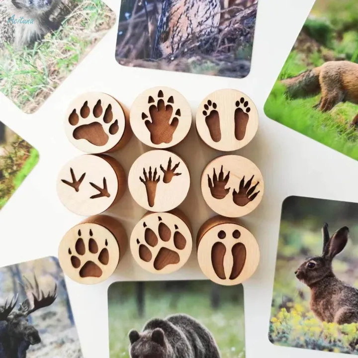6Pcs Wooden Stamps, Animal Track Play Stamps, Crafting Planner Teaching ...