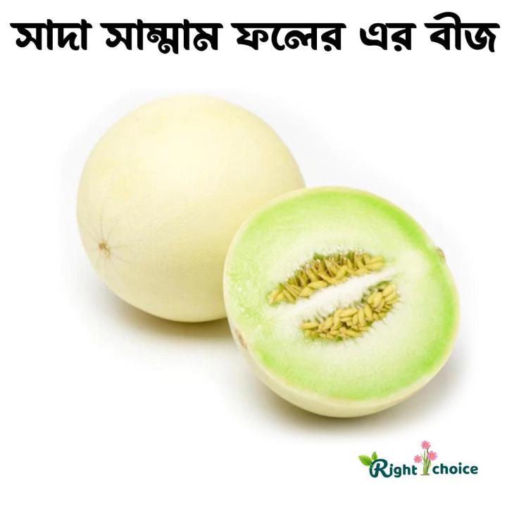 sammam Fruits (White color) Seeds 15 pice + gift | Daraz.com.bd