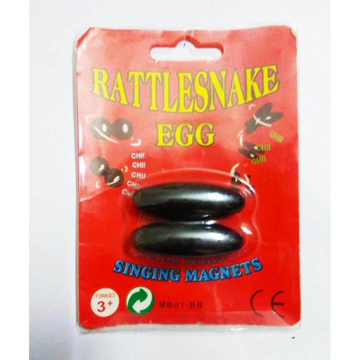 Metal Singing Magnets | Daraz.com.bd