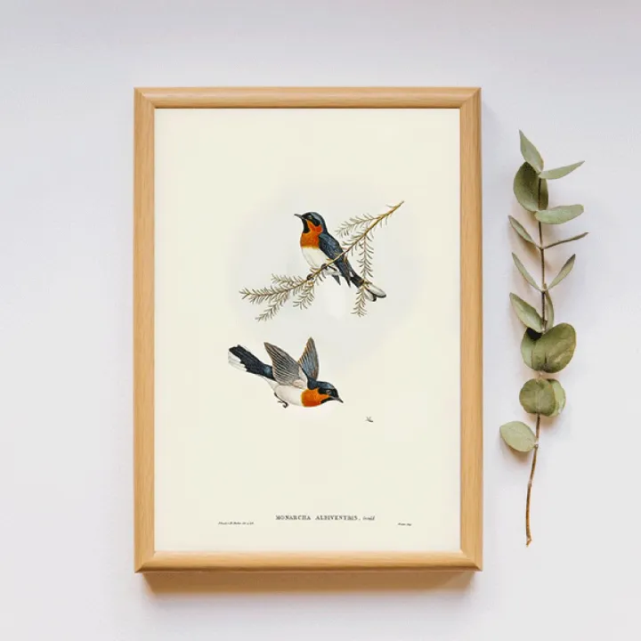 Birds Picture Frame For Home Decor Wall Frame Photo Frame For Wall ...