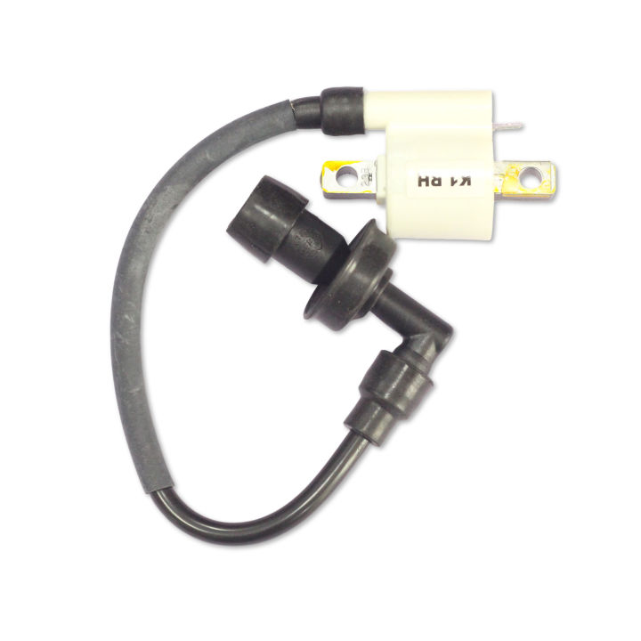 Ignition Coil Bajaj Pulsar all Right | Daraz.com.bd