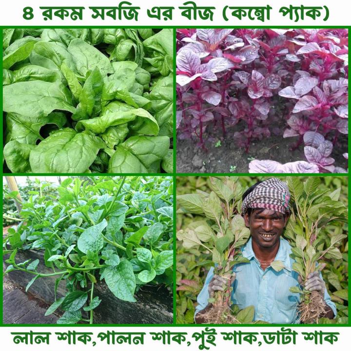 4 type Vegetable Combo Pack Seeds 1000 pice+gift | Daraz.com.bd