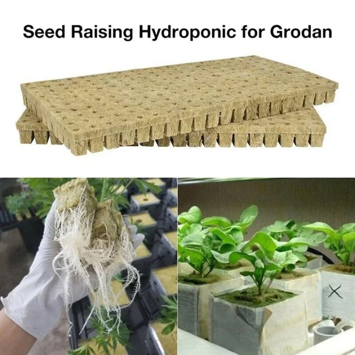 【Shop the Look】 50pcs 25x25x25mm Stonewool Hydroponic Grow Cubes Cubes ...