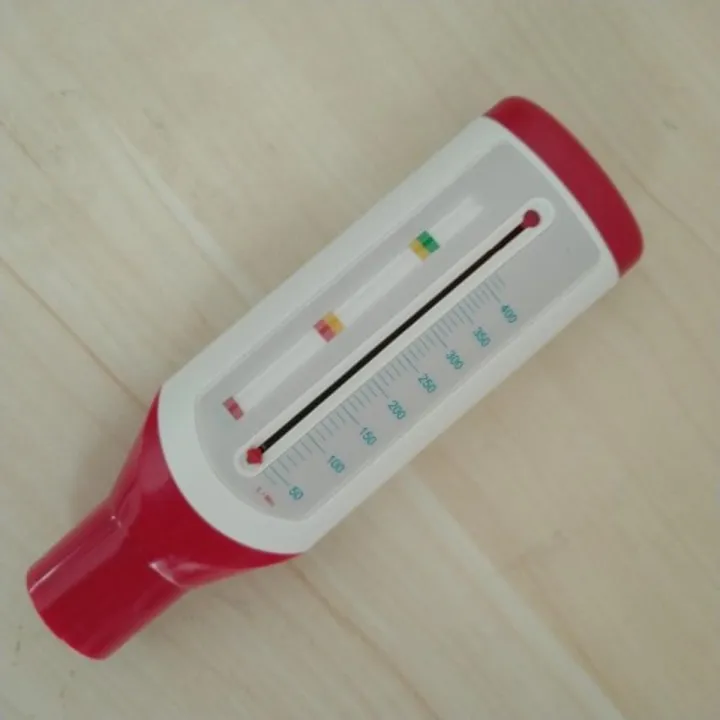 Adult / Children Portable Spirometer Peak Speed Meter Expiratory Peak ...