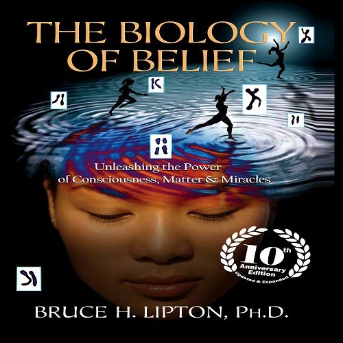 The Biology of Belief - Premium Quality | Daraz.com.bd
