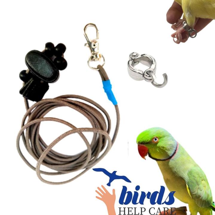 2 miter elastic harness with Tia Pakhi anklet ring 7mm (full set combo ...