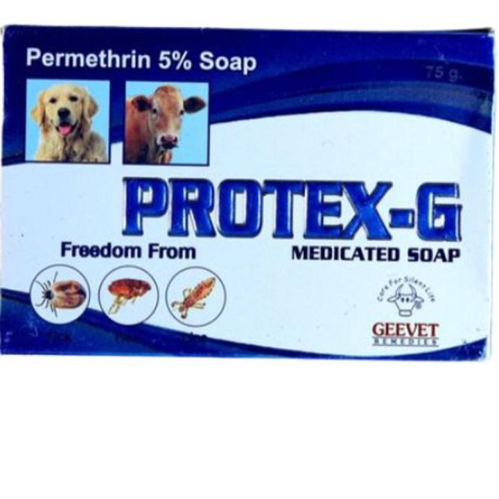 ProtexG Flea & Tick Soap for Dog and Cat medicated antifungal soap ...