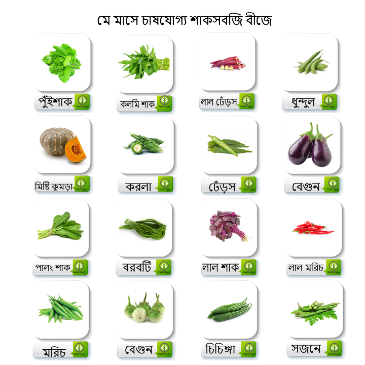 16 Types Vegetable seed Combo Pack |Water spinach, Bitter gourd,Malabar ...