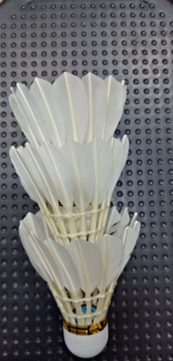 Golden wing badminton feather cocks 12 pieces | Daraz.com.bd