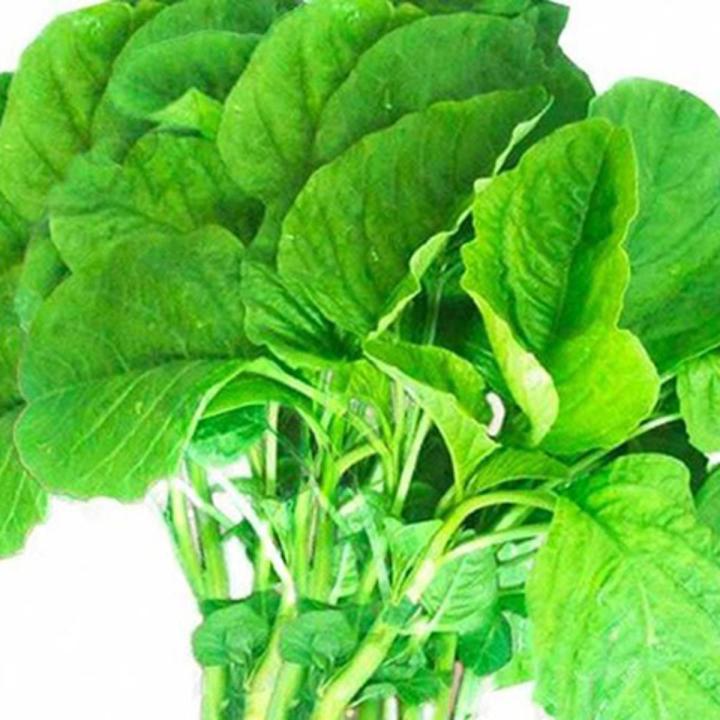 Data Vegetables Seeds - 1000 pieces intact packet | Daraz.com.bd