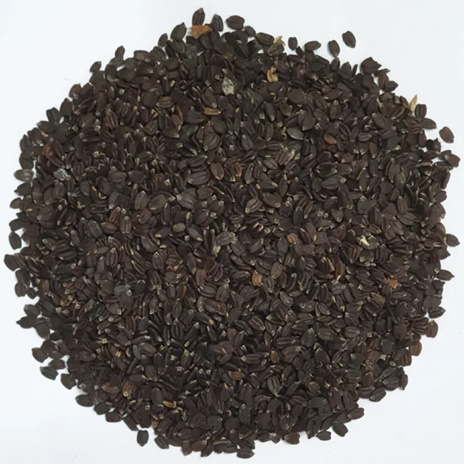 Tokma Dana / Basil seed - 150gm | Daraz.com.bd