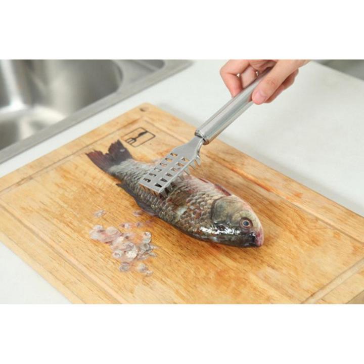 Stainless Steel Fish Scale Cleaner / Remover / Scraper | Daraz.com.bd