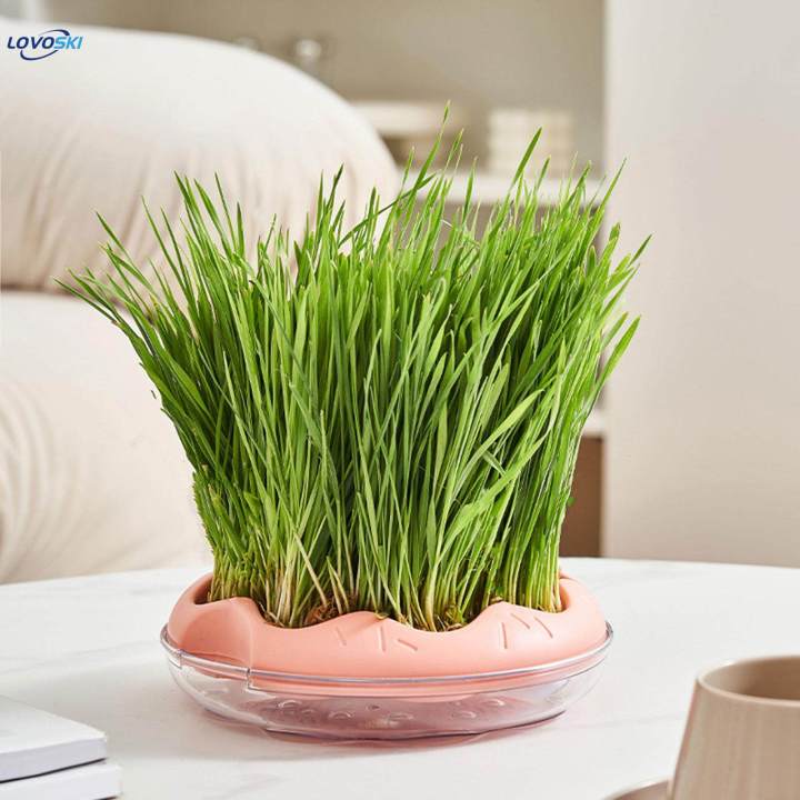 Grass Grower Box Wheatgrass Grower Planting Tray for Greenhouse Garden ...